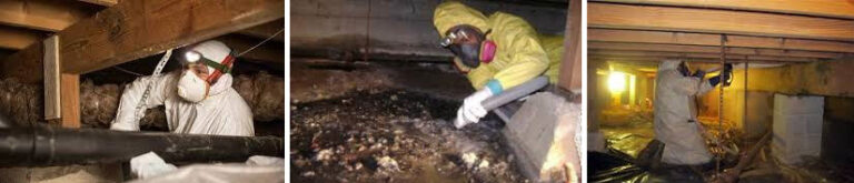Crawl Space Cleaning | Seattle » Super Attic Solutions